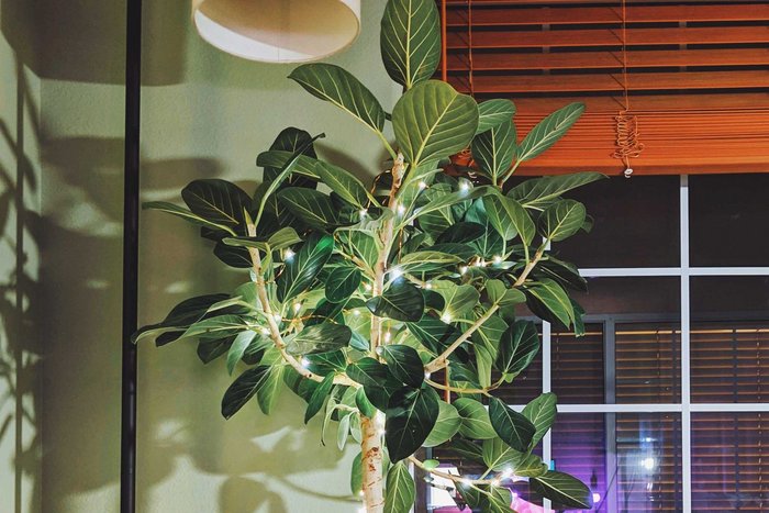 Off Topic at Riot: Cats and Dogs Part Three | Riot Games